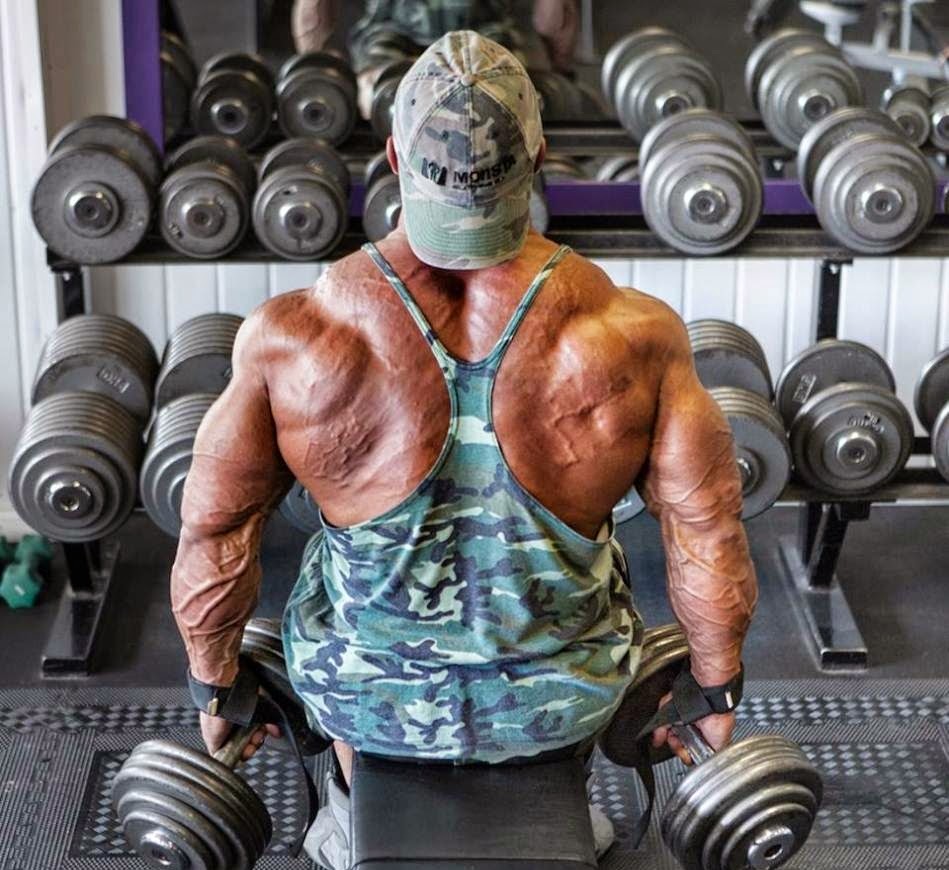 Anth 'The Freak' Bailes - IFBB Pro Bodybuilder | Bodybuilding and ...