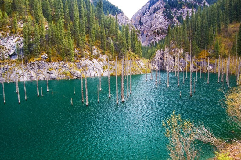 The Sunken Forest of Lake Kaindy | Amusing Planet