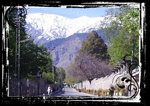 Spreebird: Parachinar