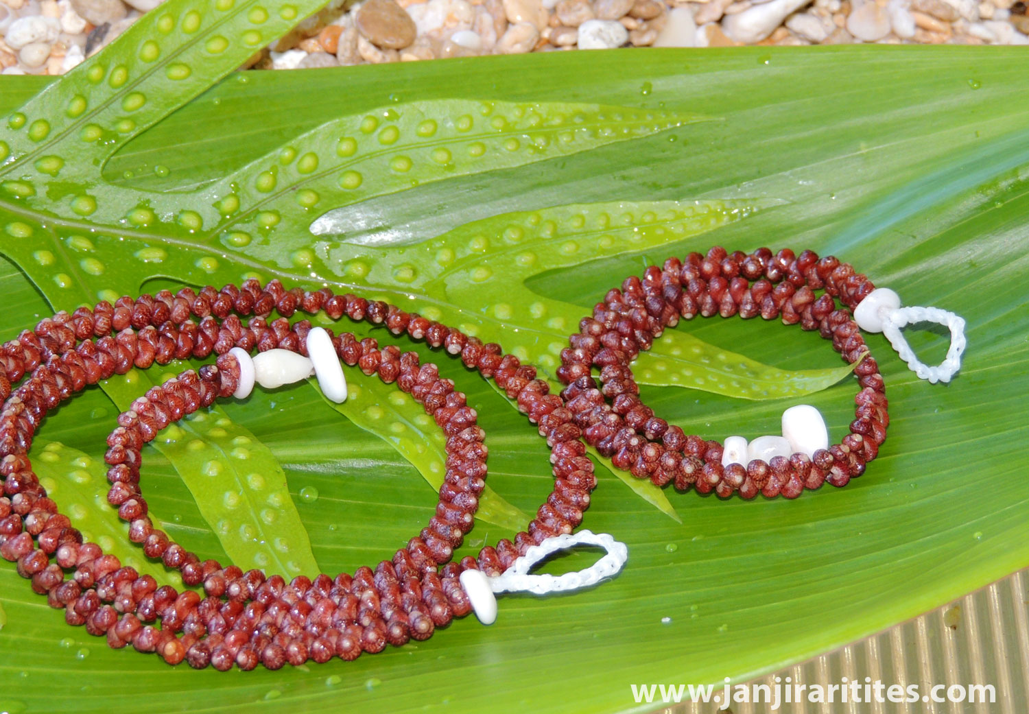 Kahelelani & Sunrise shell jewelry by.... Janjira: Burgundy Kahelelani ...