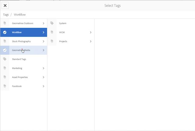 Experiencing Adobe Experience Manager (AEM, CQ): AEM 61 - Touch UI Multiple Root Paths in Tags ...