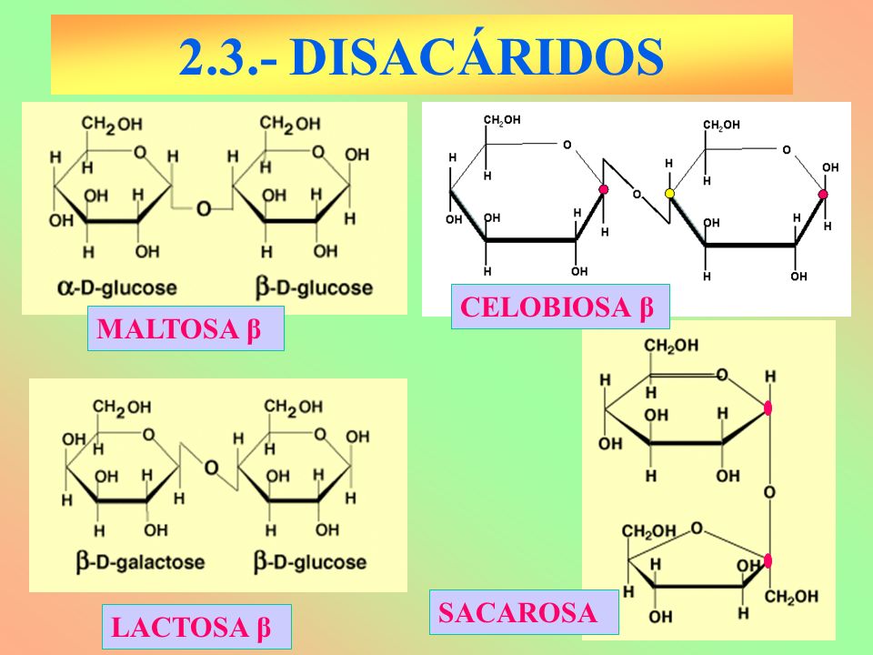 Bioquimica: Carbohidratos