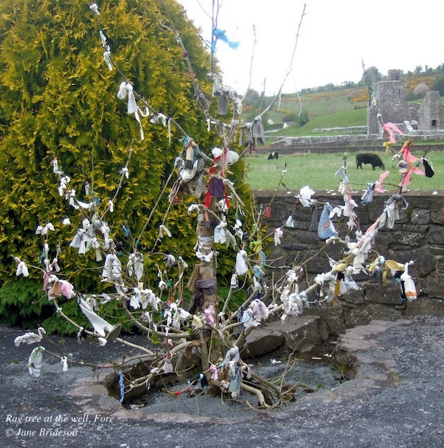 The Ever-Living Ones: Rag Trees