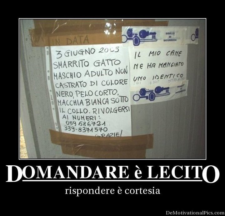 MondoWeb: Domandare è lecito, rispondere è cortesia. [Clicca qui per ...