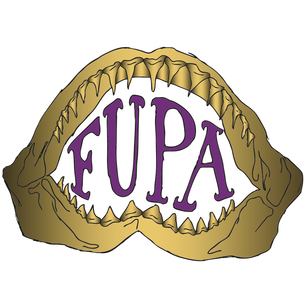 FUPA: 2010 Summer League