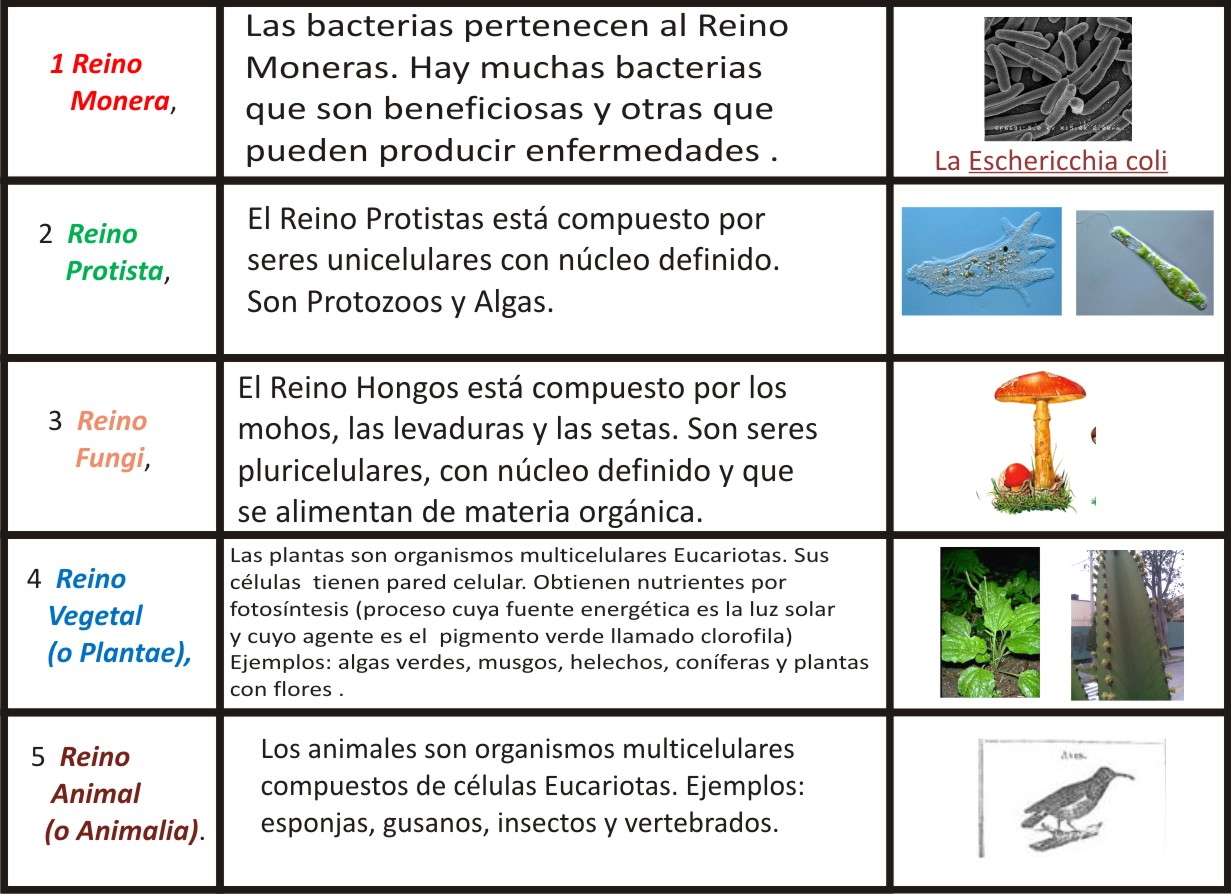 POYECTO DE AULA DE BIOLOGIA