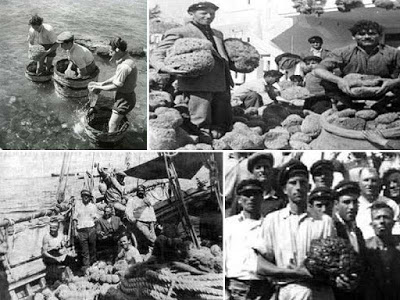 the Greek Sponge Divers ~ Cambridge Greek Corner