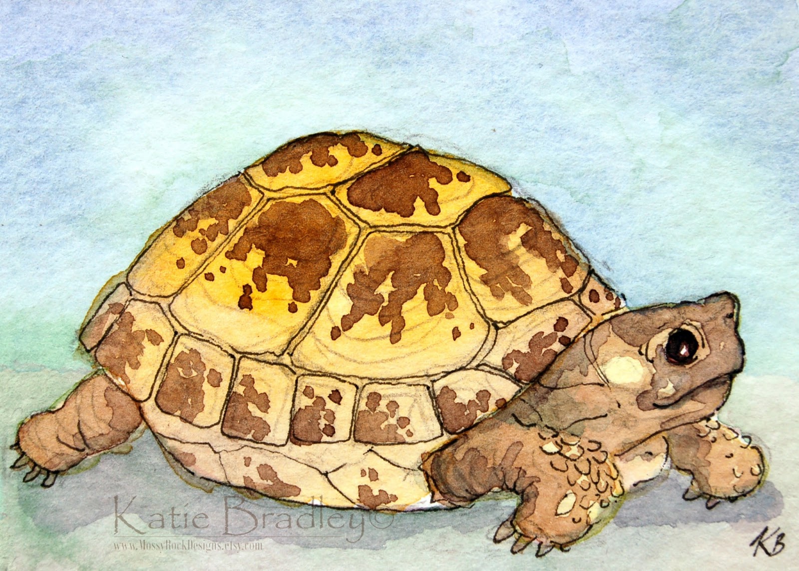 Tortaddiction: New Tortoise Paintings in my Etsy shop!