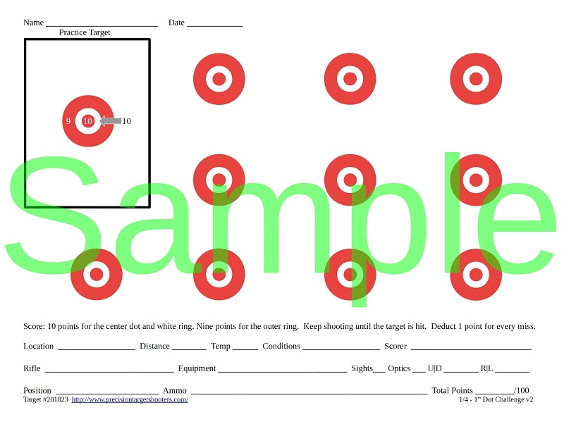 Precision Target Shooters: 1/4 inch - 1 inch Dot Challenge