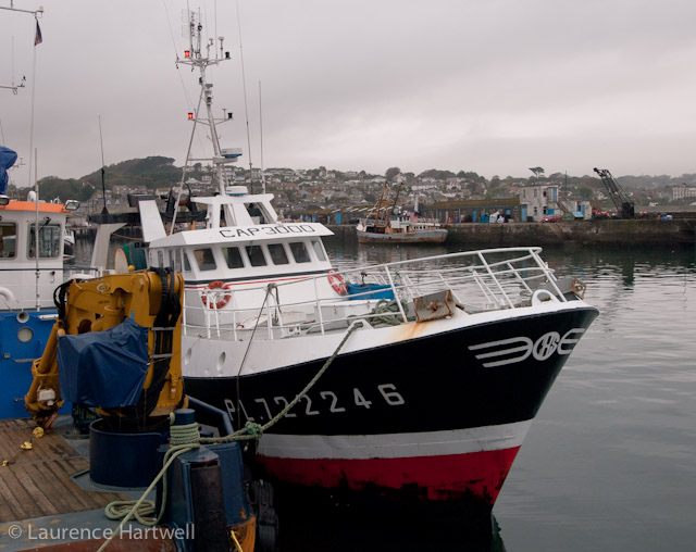 Through the Gaps! - Newlyn Fishing News: A few visitors in the port ...