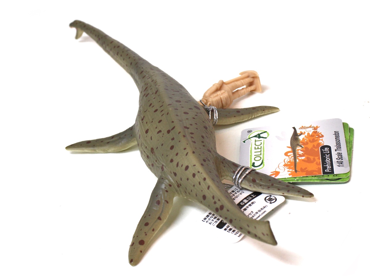 動物フィギュアの箱庭blog: ミニチュアプラネットの新製品、オーストラリアシリーズが入荷しました！