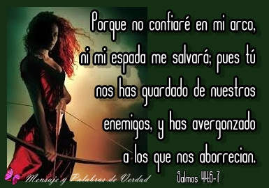 Reflexiones Diarias de Vida: No confiaré en mi arco ni en mi espada