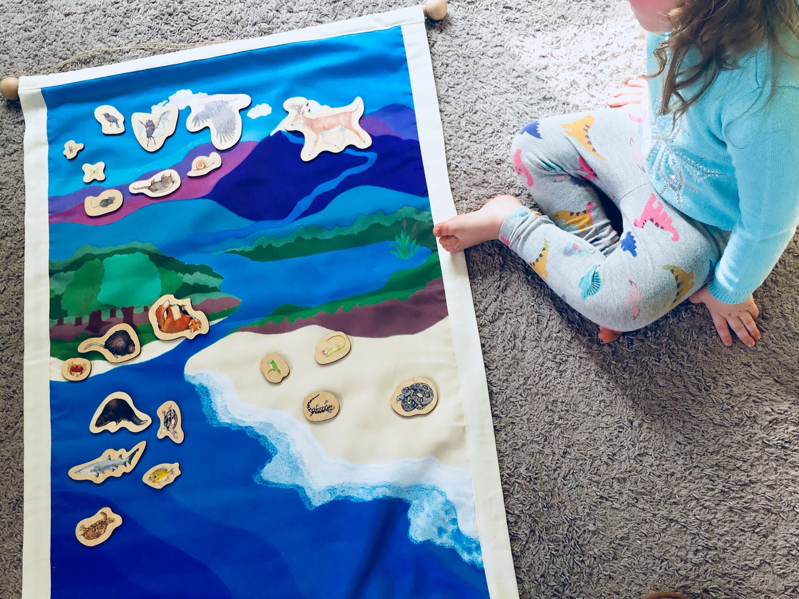 Montessori Geography: From the Universe to Mother Earth's Land, Air ...