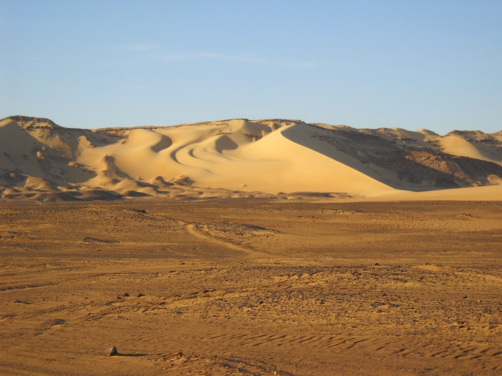 Egyptian desert: photo
