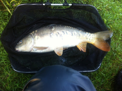 UK fishing venues: Rising Sun Fisheries (Lake 2) - Catch Review