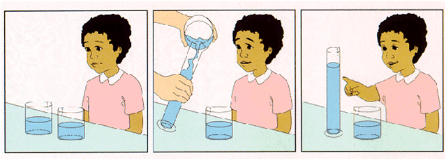 Piaget's Theory of Cognitive Development ~ TEACHER EDUCATION SUPPORT ...