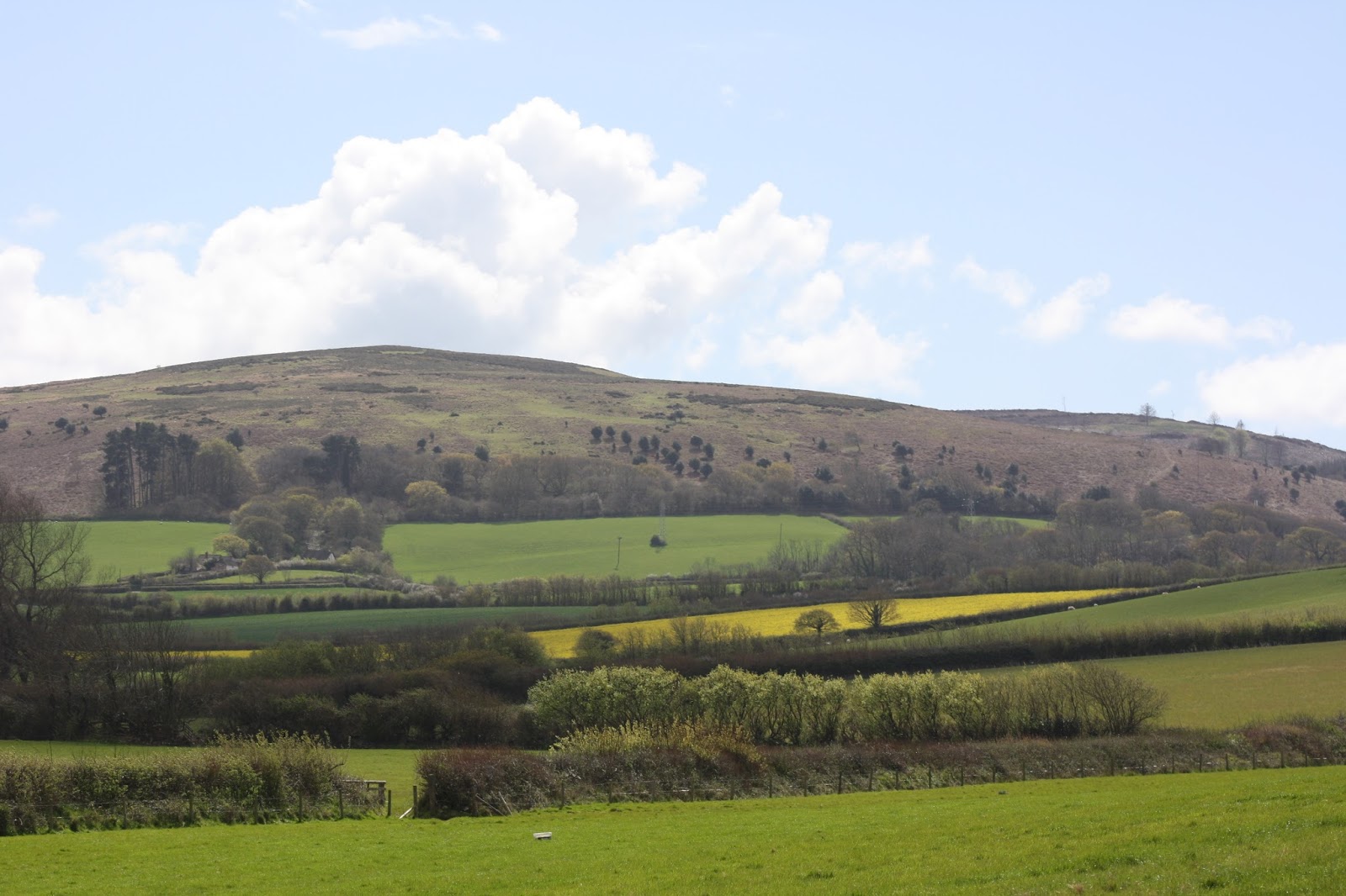 Views from Somerset: Quantock's Head and Kilve on the Somerset Coast.