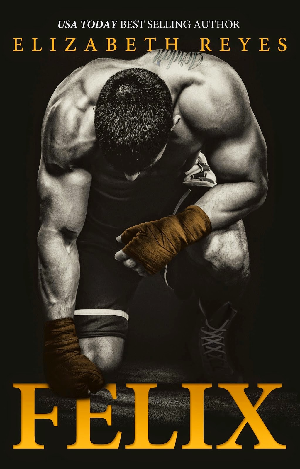 Just Judy's Jumbles: Elizabeth Reyes Book List