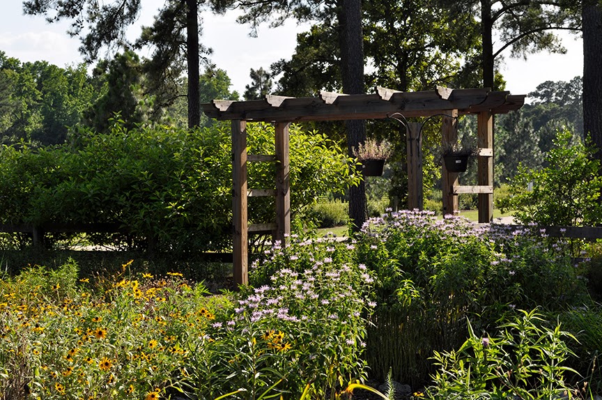 Howell Woods: February 2014