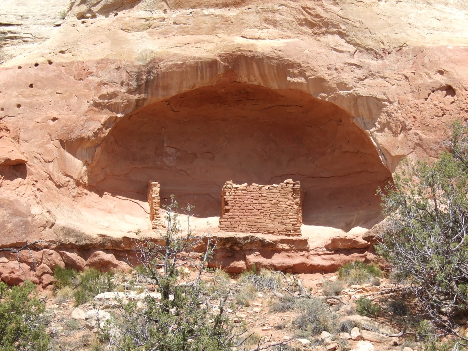 Tom and Suzanne's Travels: Visiting the Sand Canyon South Trailhead