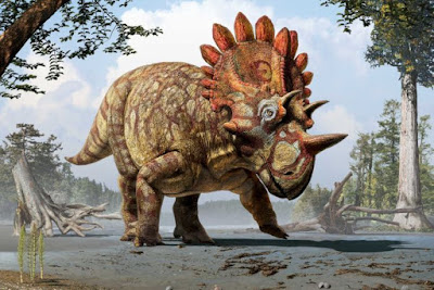 Ceratópsidos: Especies Ceratopsidae.