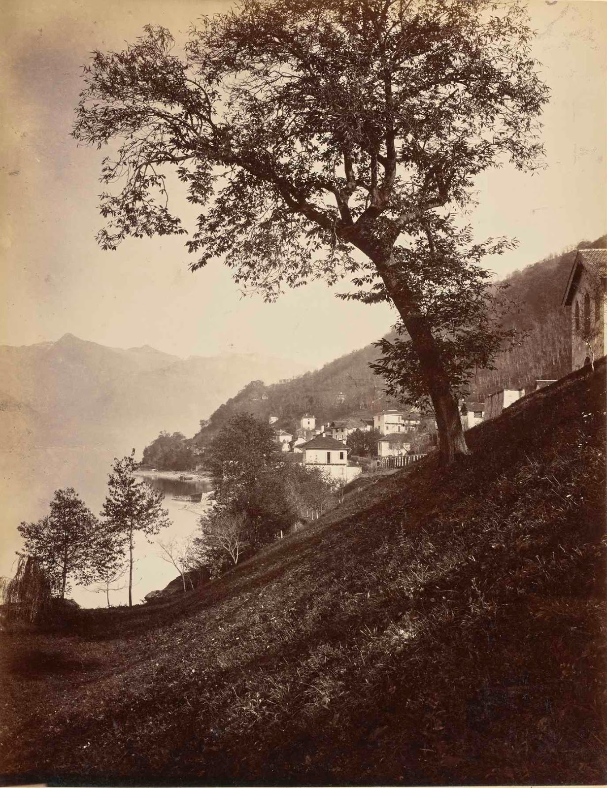 Albumen Print