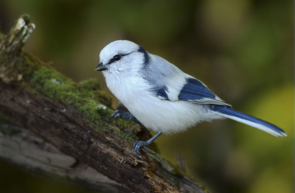 przyroda wokół mnie: lutego 2016