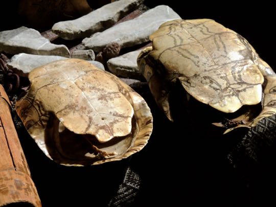 Jim & Carole's Mexico Adventure: Indigenous dancers & their traditional ...