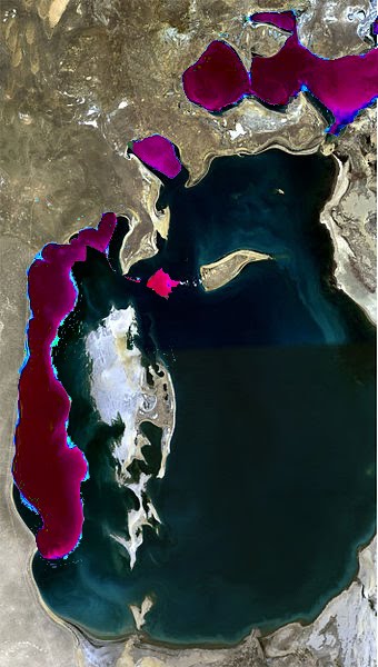 P2SSMMANCR: Drying of the Aral Sea: Graphic of Causes