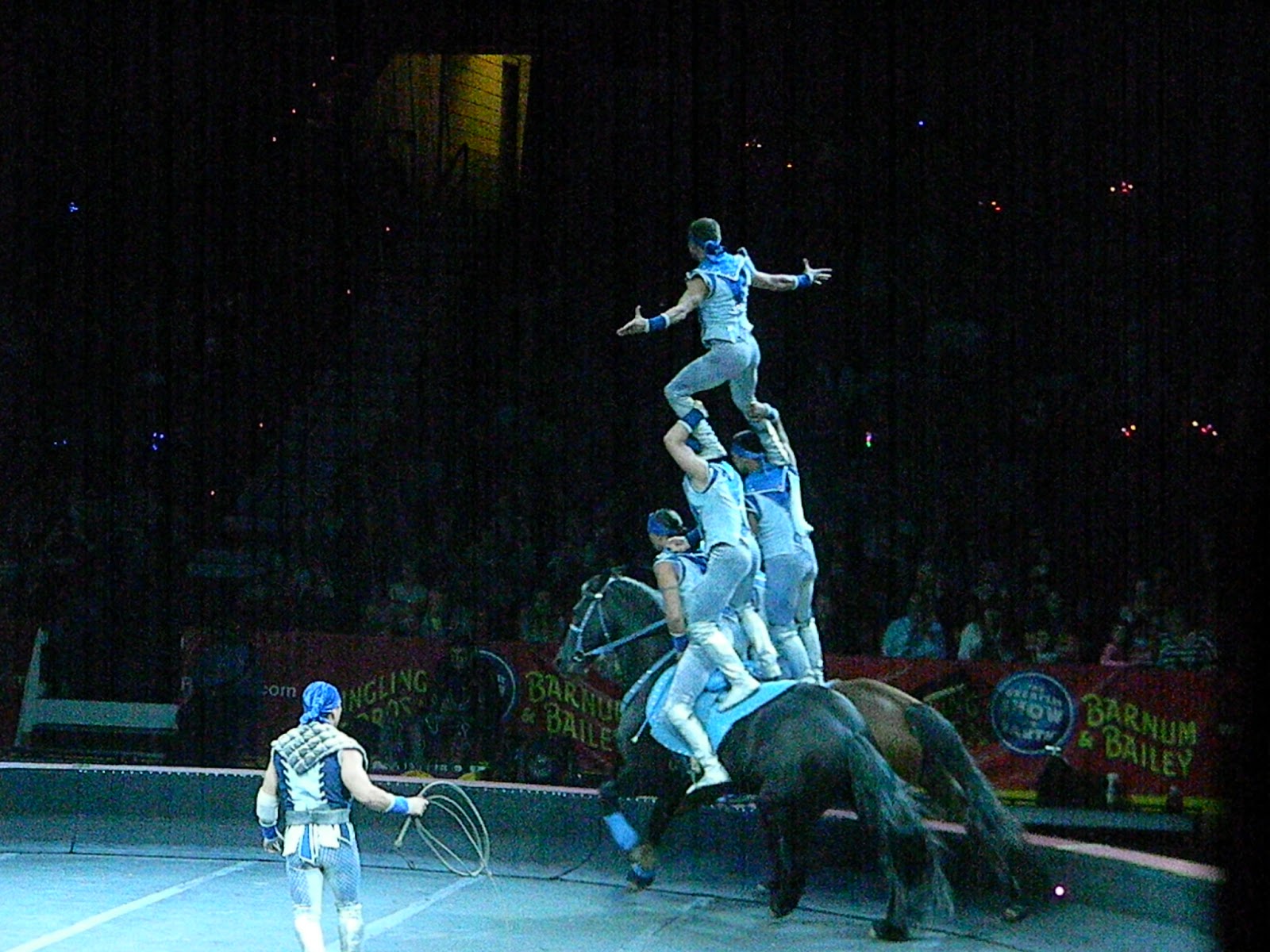 The Organic Poptart!: The Circus and Fun with Fake Flowers