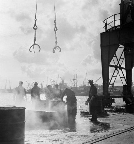 Malomil: Ed Van Wijk, saudosa Neerlândia.