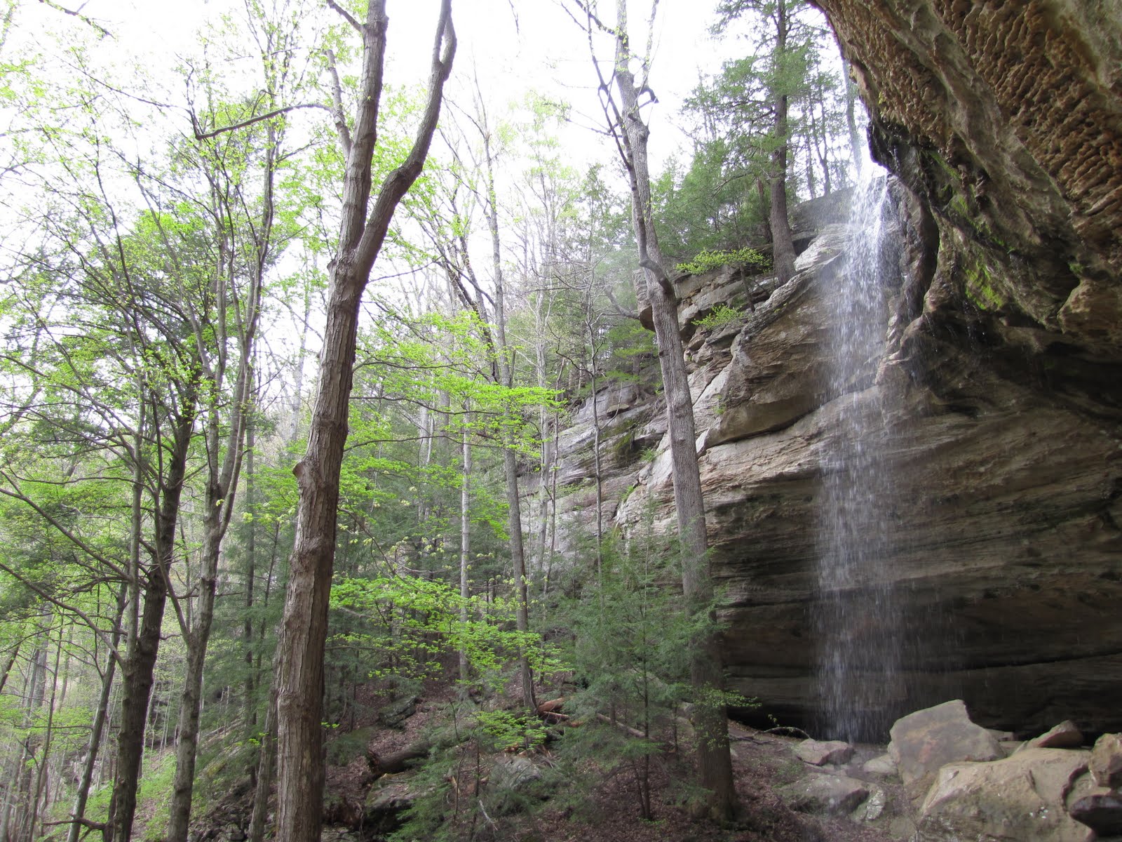 Appalachian Heartbeat: Springtime in the Beautiful Knobs of Kentucky