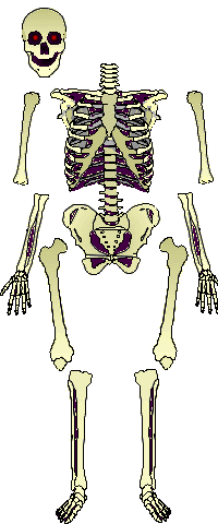 Dr. Theda's Crypt: Printable Mini Skeleton....