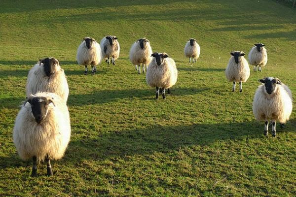 Traveling Around Great Britain: Ciekawostki o Wielkiej Brytanii