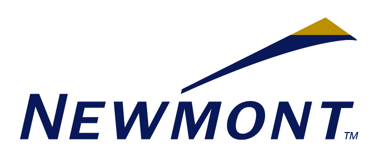 Newmont Mining Internships