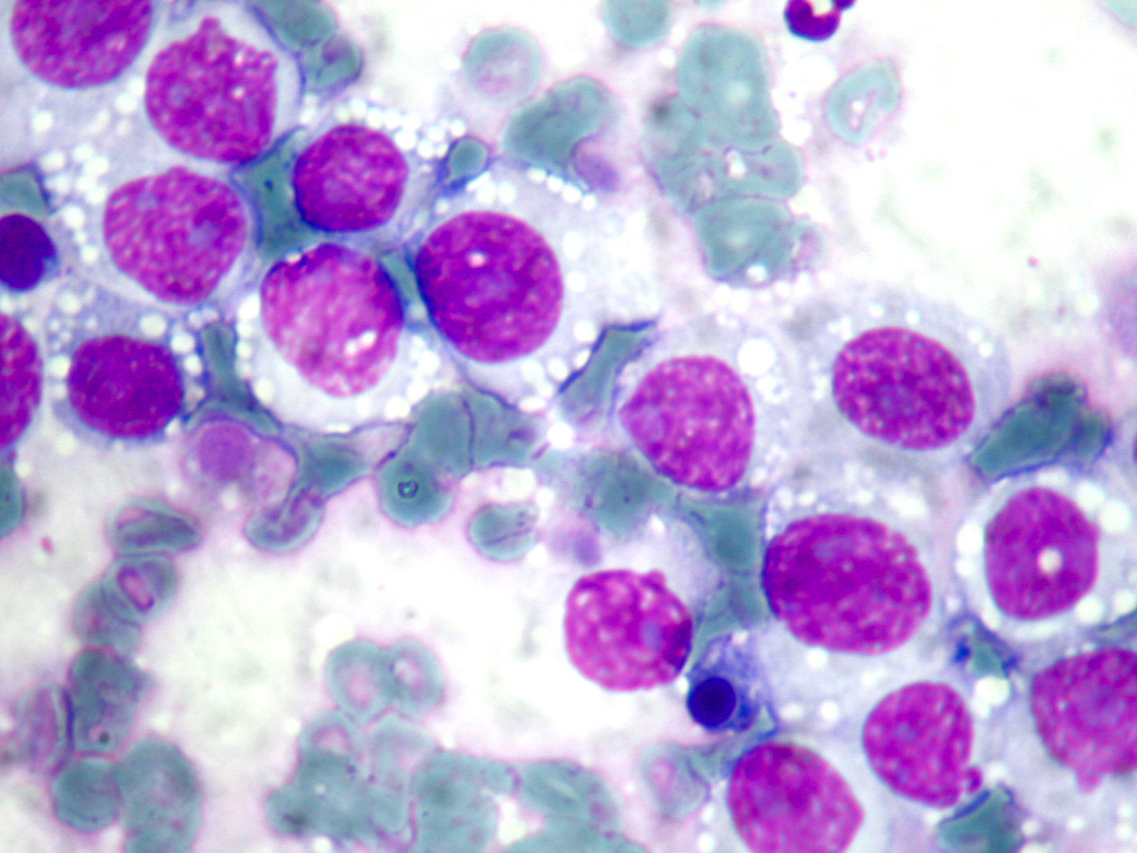 Medio ambiente.: Citologia (Biología)