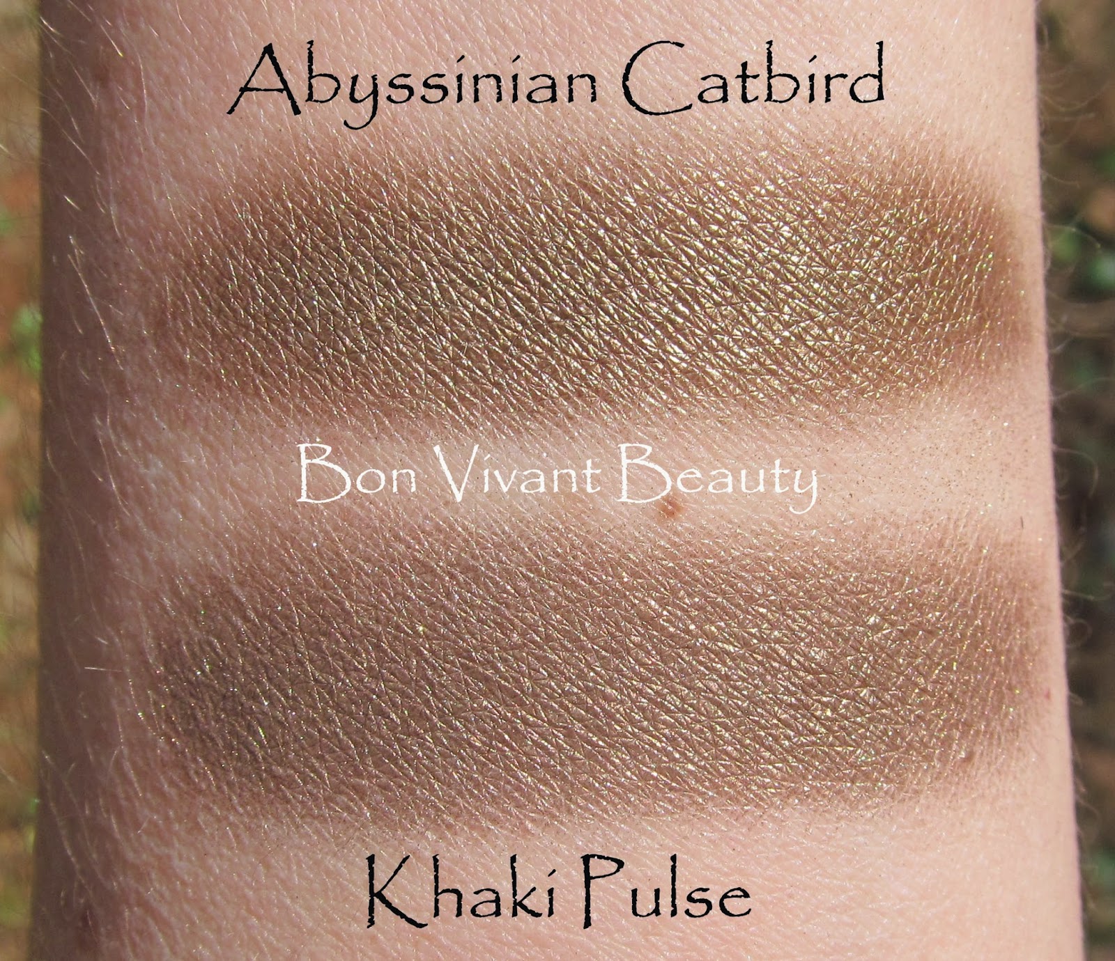 Bon Vivant Beauty: Abyssinian Catbird by Rouge Bunny Rouge: Stunning