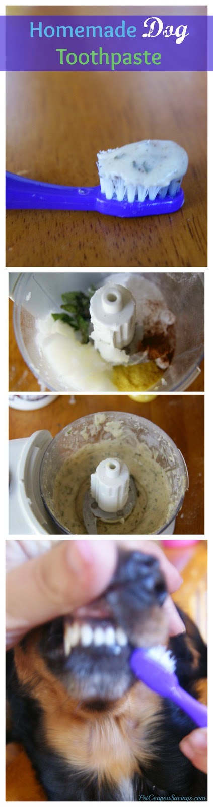 DIY And Crafts: Homemade Dog Toothpaste. This easy and frugal dog ...