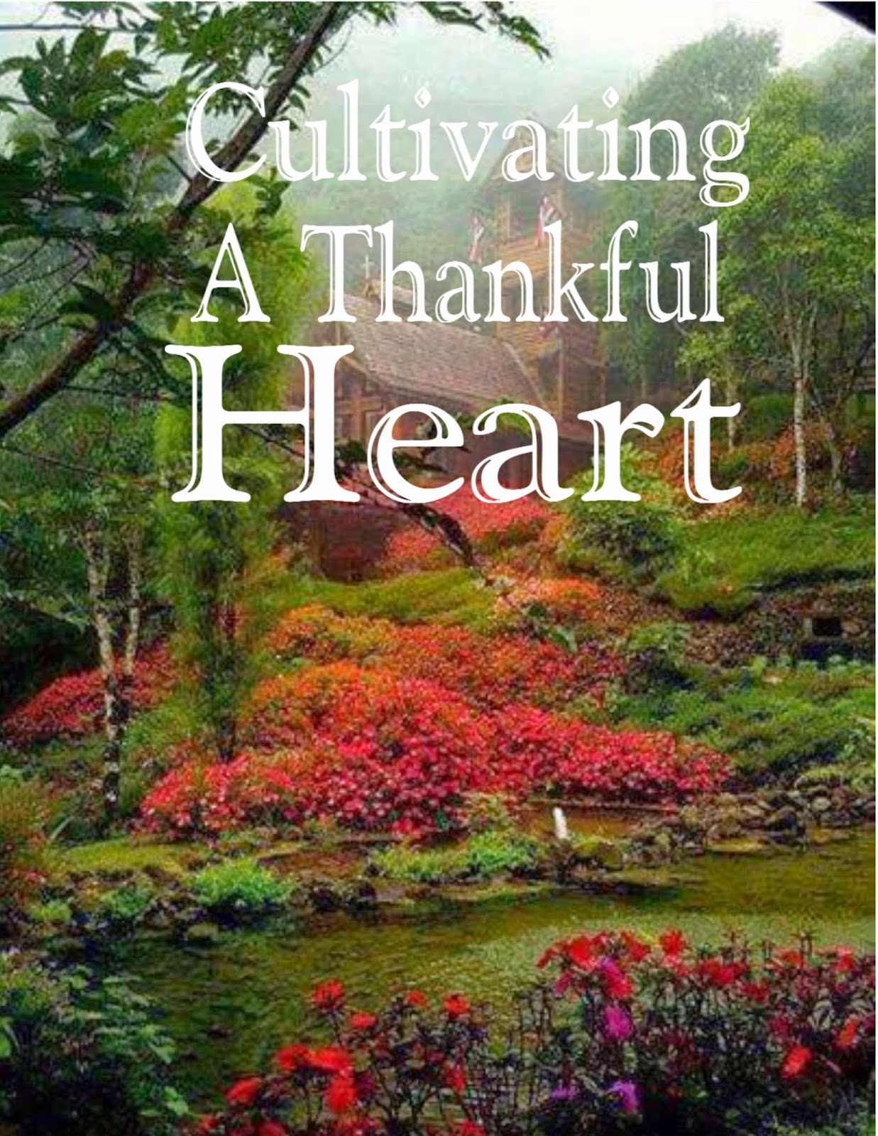 MaxEvangel: Cultivating A Thankful Heart