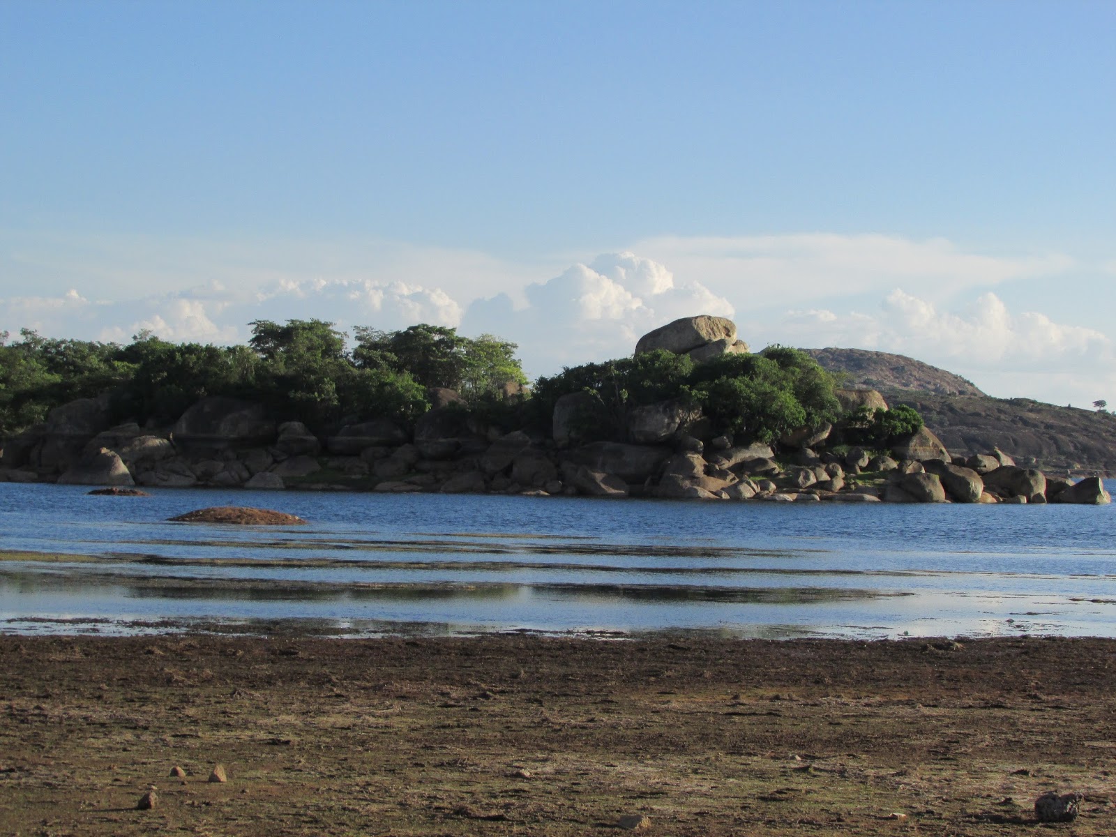 Life through my eyes: February 2016