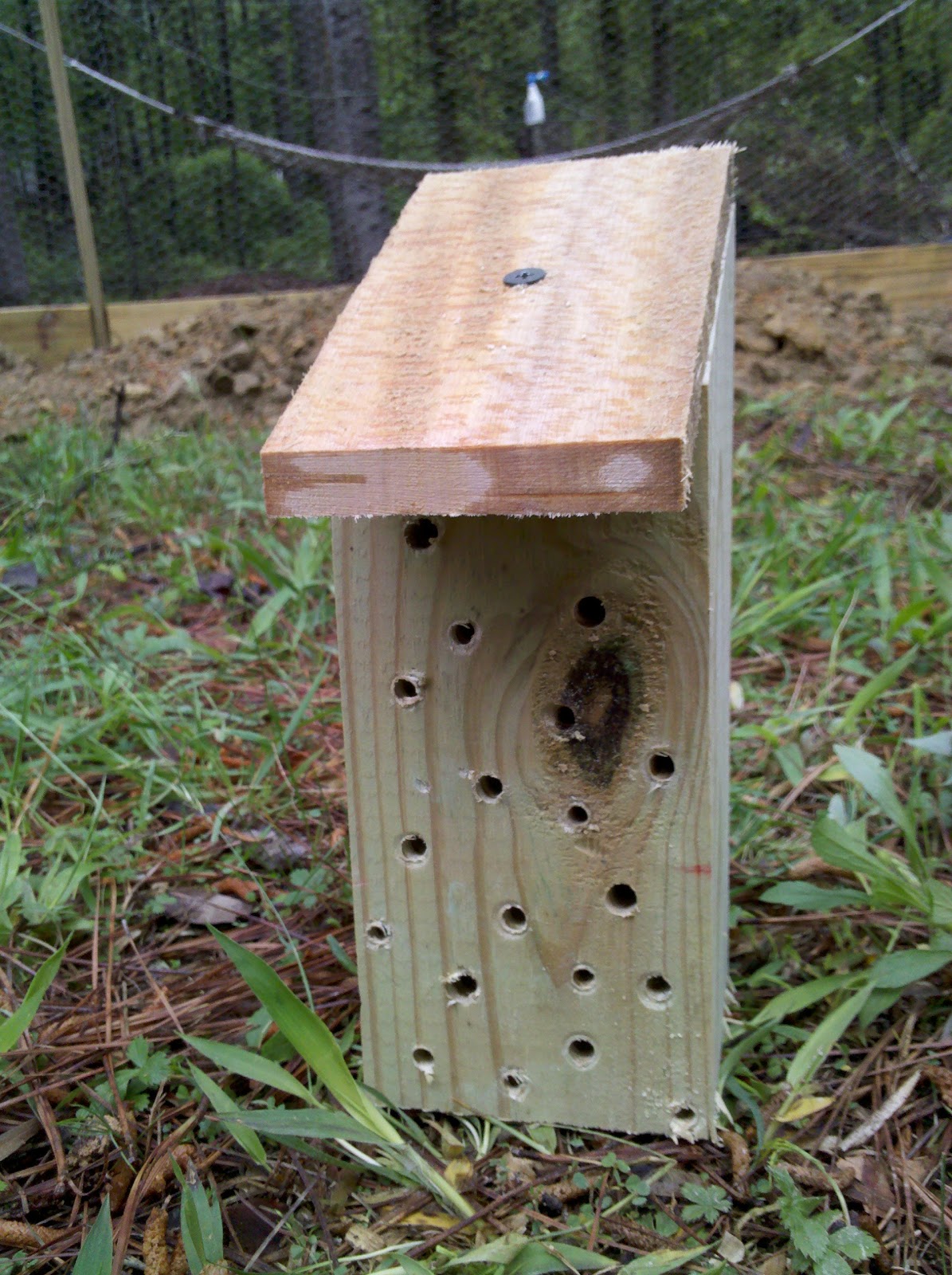 Piedmont Home Vegetable Garden: Native Bee Houses: Encouraging the ...