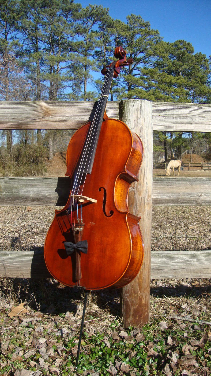 Well, Cello There: Meet the Cello