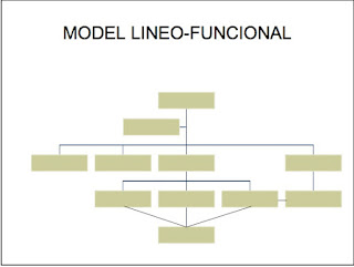 Diseño organizacional (etapas y elementos) y modelos estructurales de ...