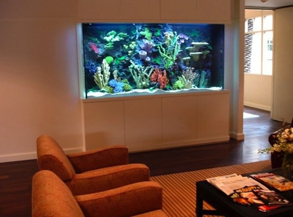 In wall aquarium | Peceras en casa, Pecera en pared, Peceras