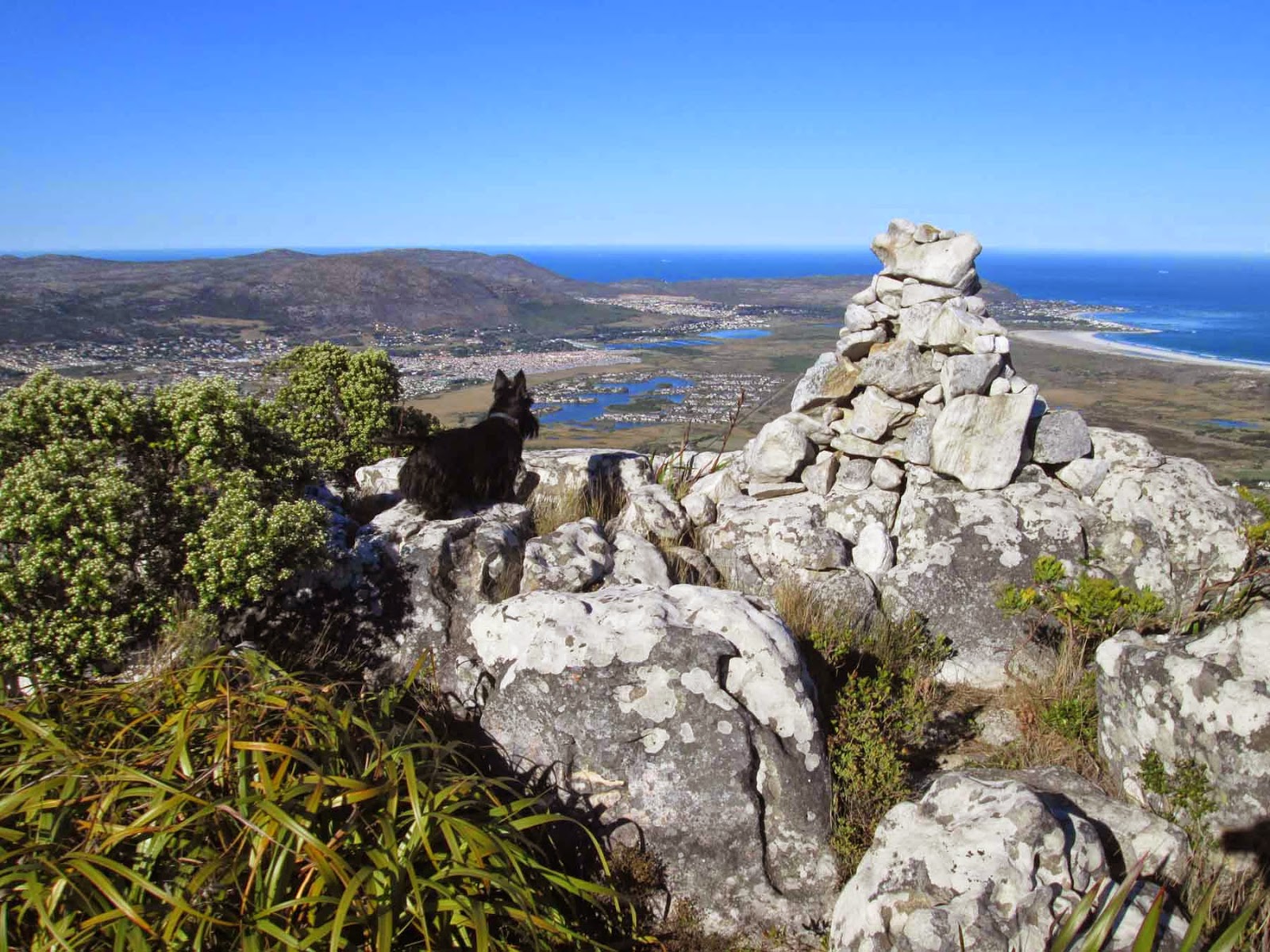Where are we walking this Sunday?: Spitskop - from behind Noordhoek Manor