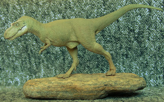 Dinosaur Modeller: Gorgosaurus libratus, sculpted by Greg Wenzel.