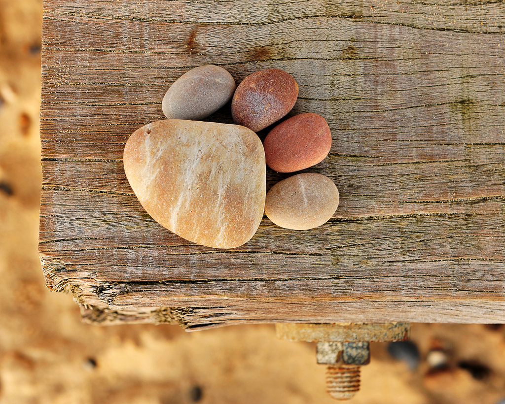 beachcomber: pebble art