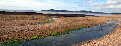 Juliana Marie Photography: Up North