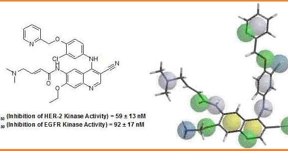 Modern Medicines: Drugs in Clinical Pipeline: Neratinib | Dual Kinase ...