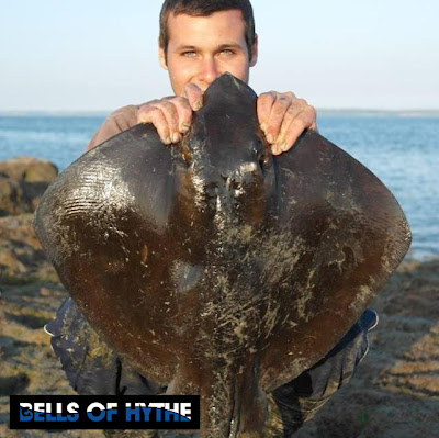 Shop News Blog:: Summer Madness!